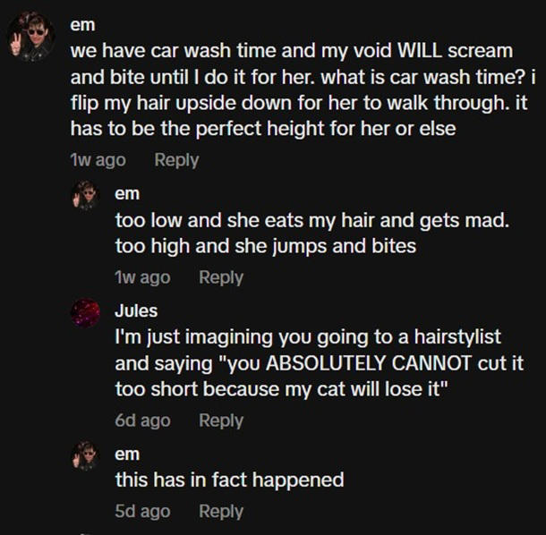 Strangers Share The Most Bizarre Thing Their Cat Does And We're Simply ...