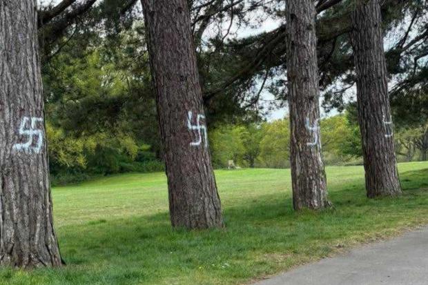 Disgust as Swastikas daubed on trees in city park