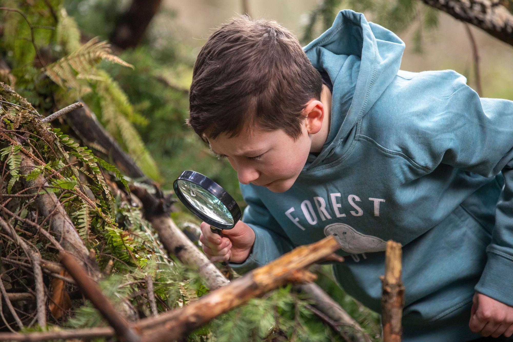 Taking the creepy out of crawlies: Forest Holidays launches Ugly Bug ...