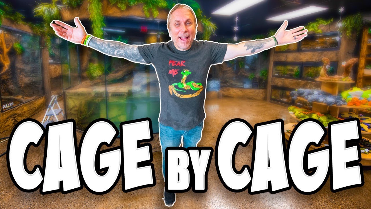 Complete Cage Tour of Our Reptile Collection!