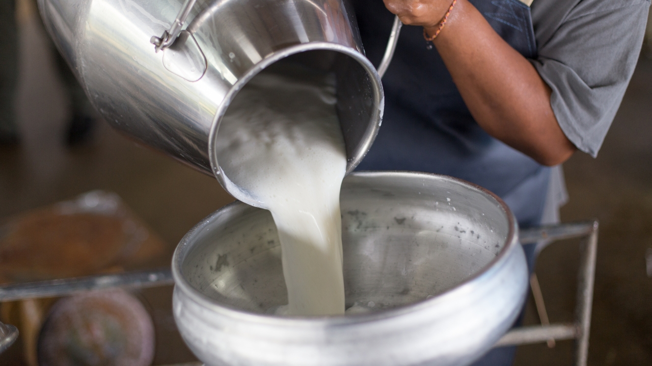 Milk safety questions are back in the news and the practical answer is ...