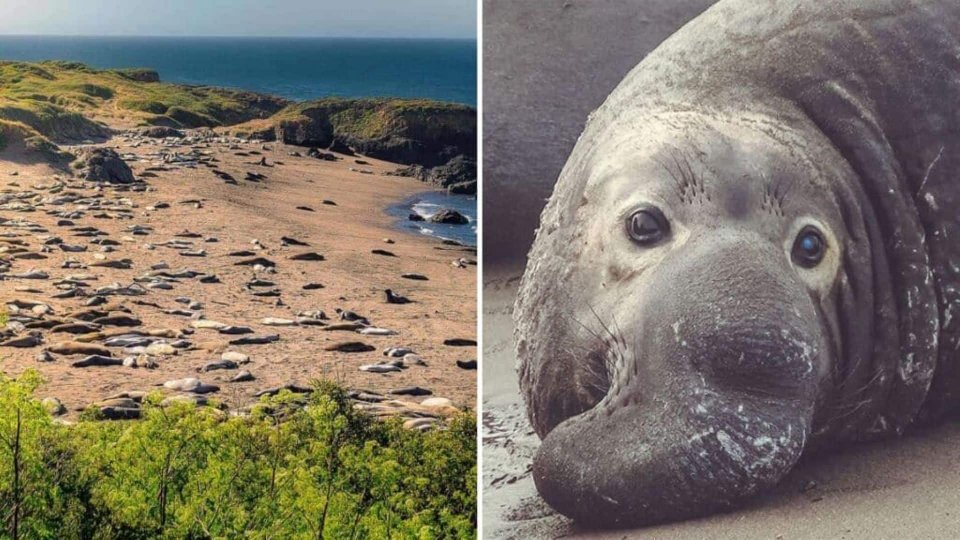 22 Lesser-Known Landmarks in California That Are a Must-See