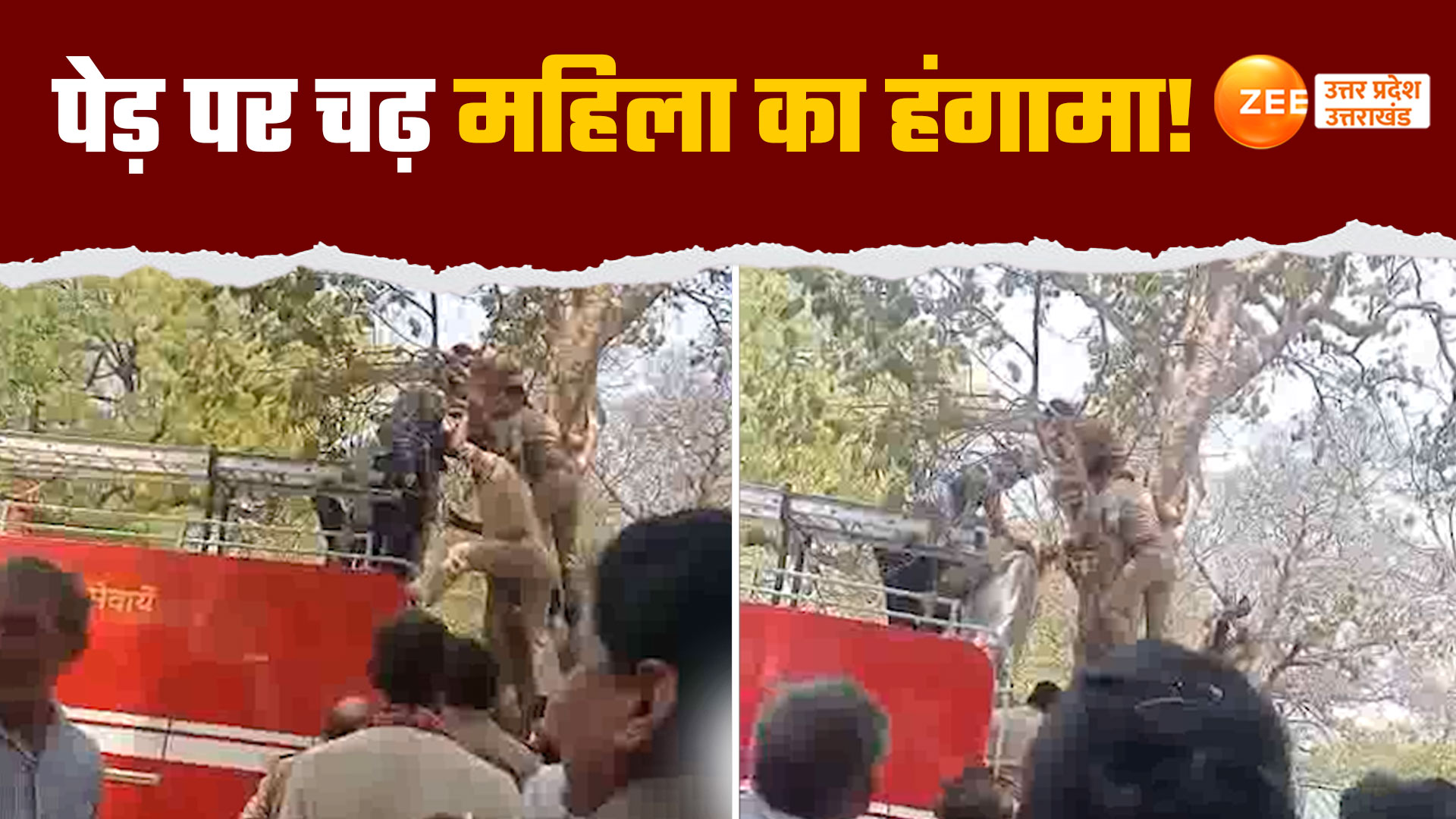 Mathura Video: 'कूदकर मर जाऊंगी..' आत्महत्या की धमकी देते पेड़ पर चढ़ ...