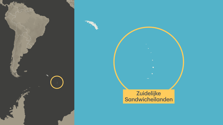 Grootste inktvis ter wereld voor het eerst gefilmd in eigen omgeving
