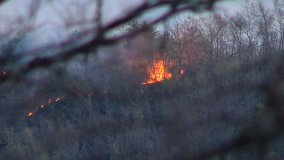 Bee Rock Branch Fire in McDowell County hits 175 acres