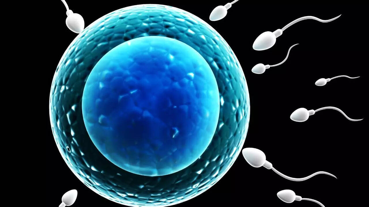 World's first sperm race in Los Angeles brings male fertility into ...