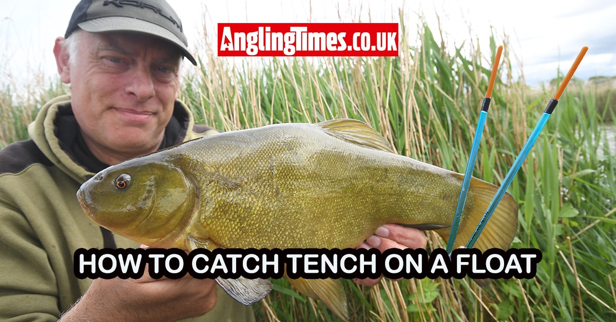 How to catch tench on the float