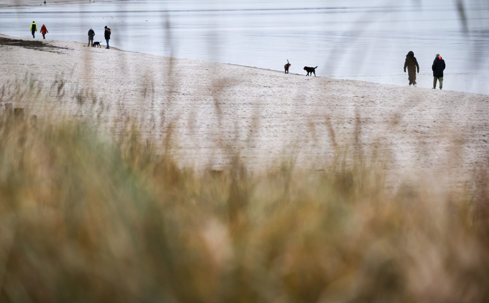 Brisk walking pace could slash risk of heart rhythm problems