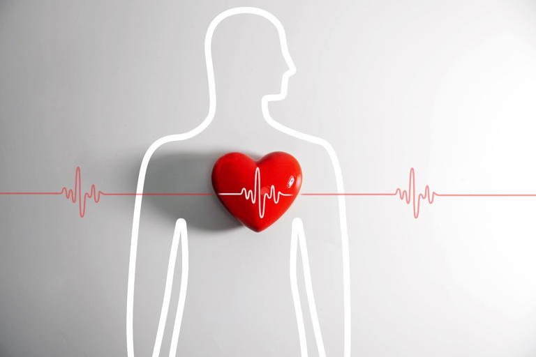 New Handheld Device Could Make Heart Valve Disease Detection Easier for ...