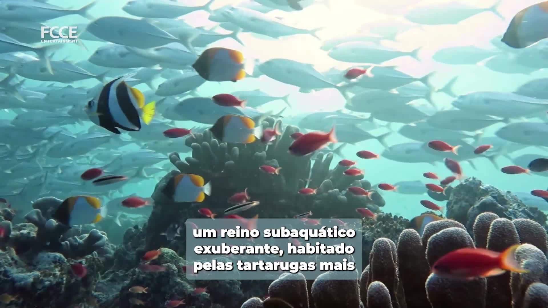 Explorar as ilhas ABC, Aruba, Bonaire e Curaçao