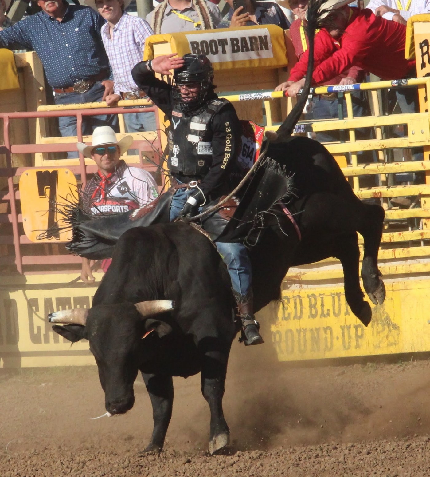 Round-Up action starts today