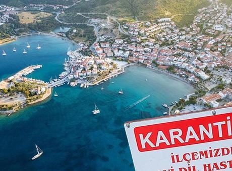Sineklerden bulaşıyor! Ünlü turizm merkezlerine karantina alarmı