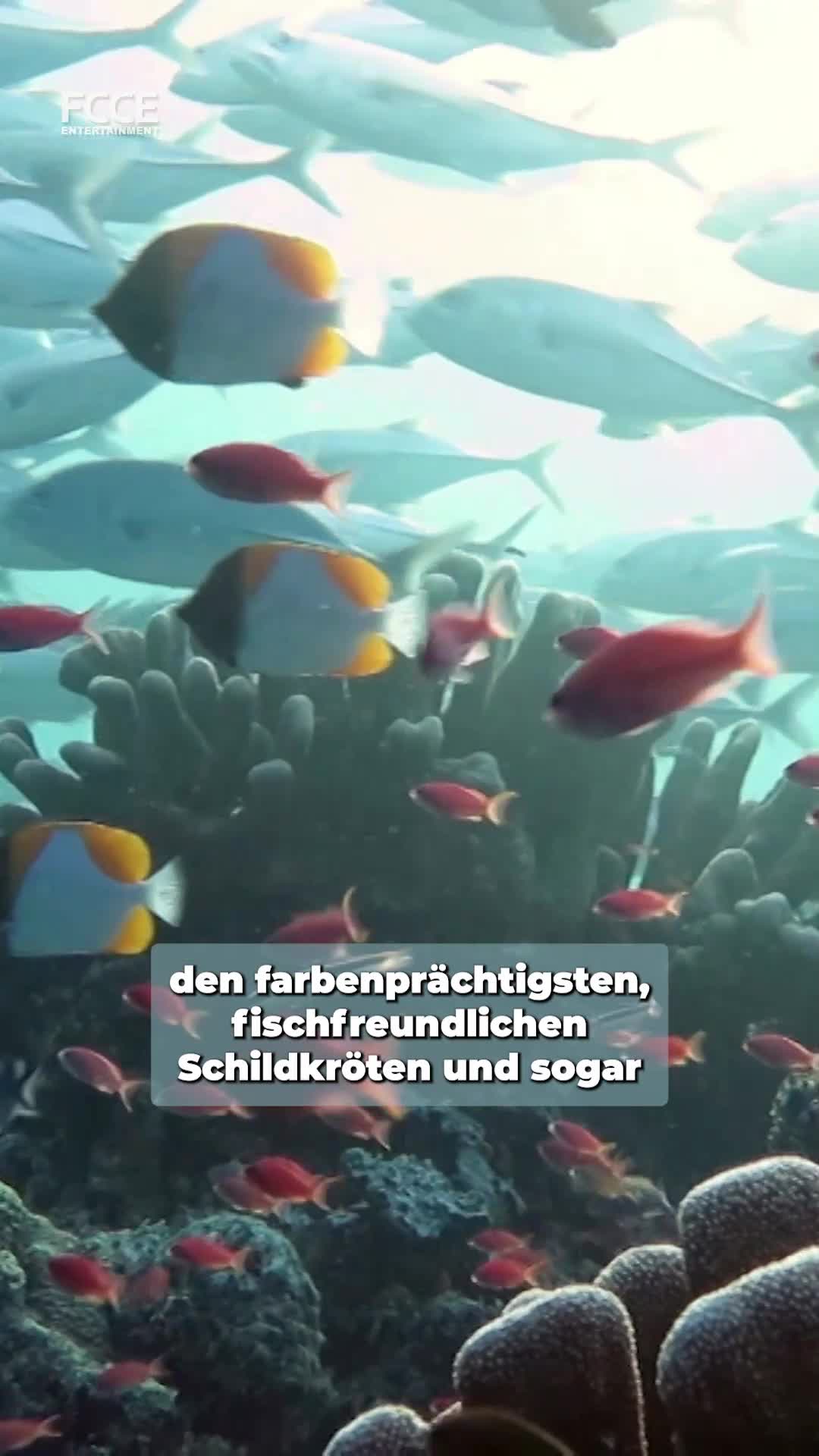 Entdeckung der ABC-Inseln, Aruba, Bonaire & Curaçao