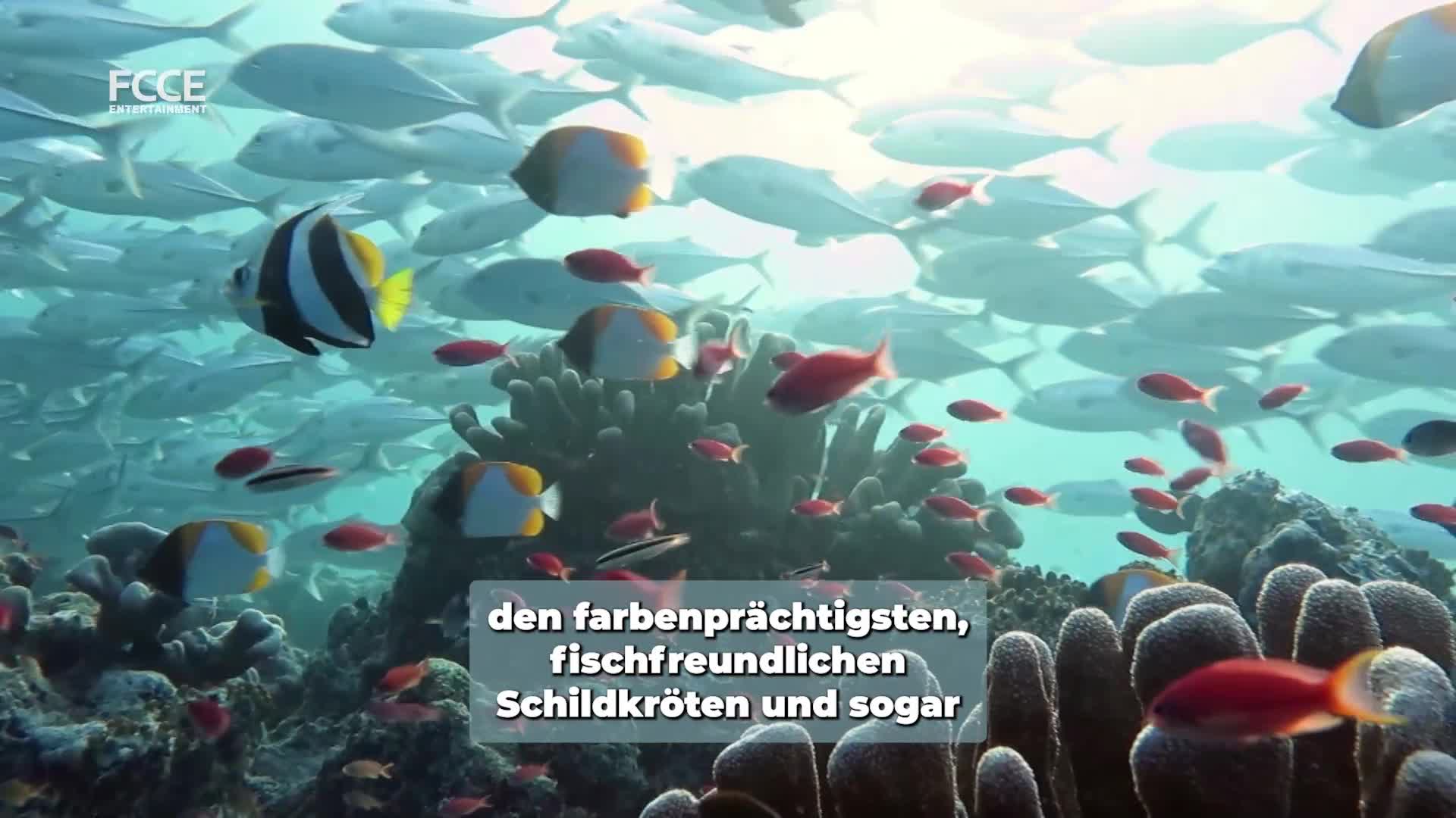 Entdeckung der ABC-Inseln, Aruba, Bonaire & Curaçao