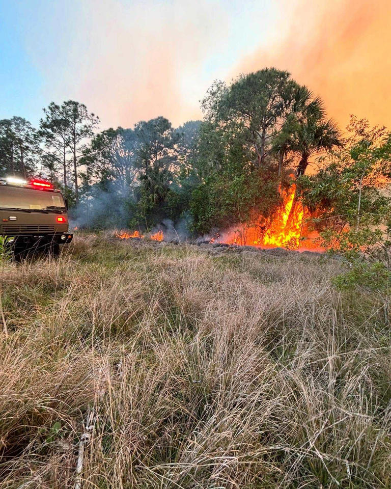 Crews continue monitoring 40-acre brush fire in Martin County
