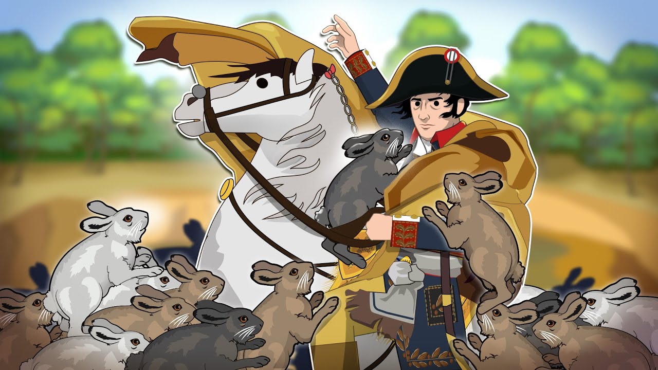 Napoleon’s War on Rabbits – The Emperor’s Most Bizarre Defeat