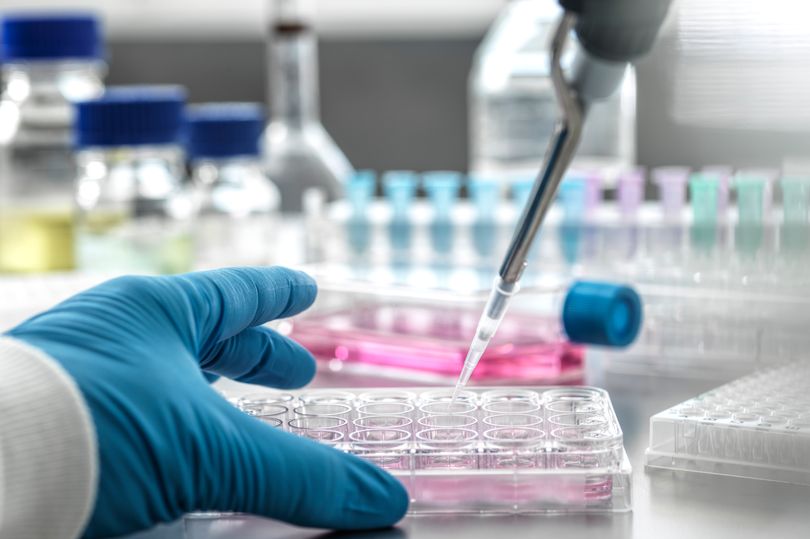 US Gov 'using human stem cells to give computers nervous systems', says ...