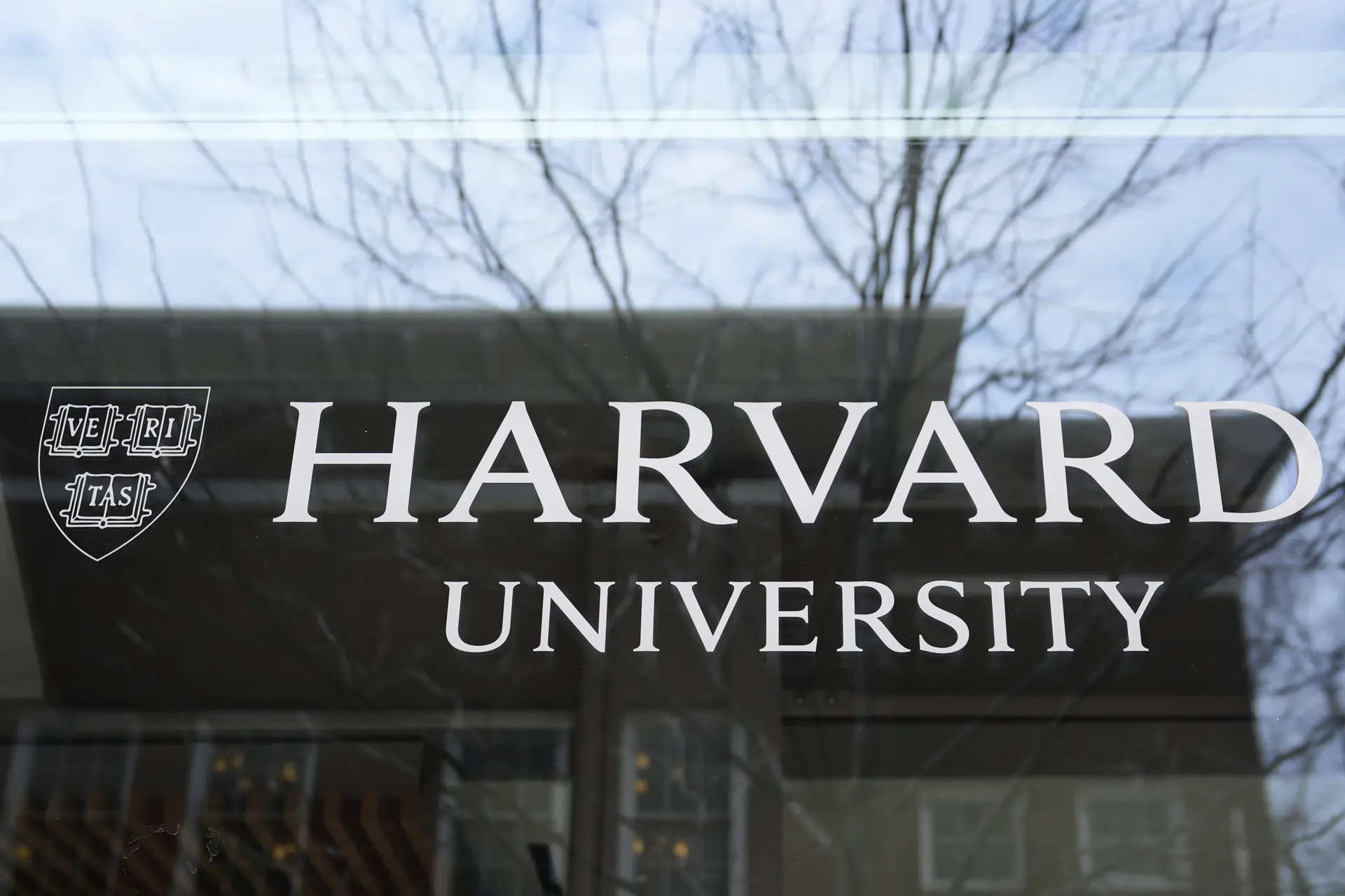 Why Trump's $2 billion cut to Harvard could change US higher education ...