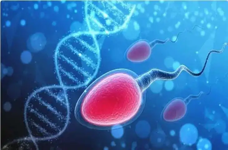 World’s First 'Sperm Race' Set to Take Place in Los Angeles ...