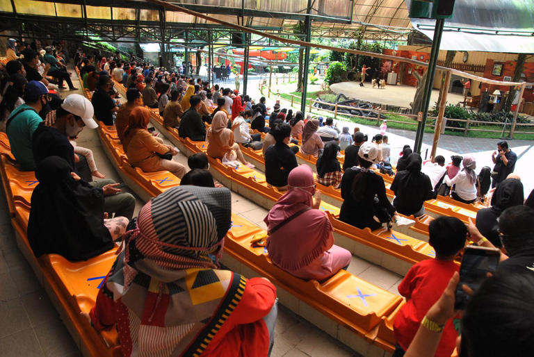 DPR Desak Polisi Periksa Taman Safari Soal Dugaan Eksploitasi Pemain Sirkus