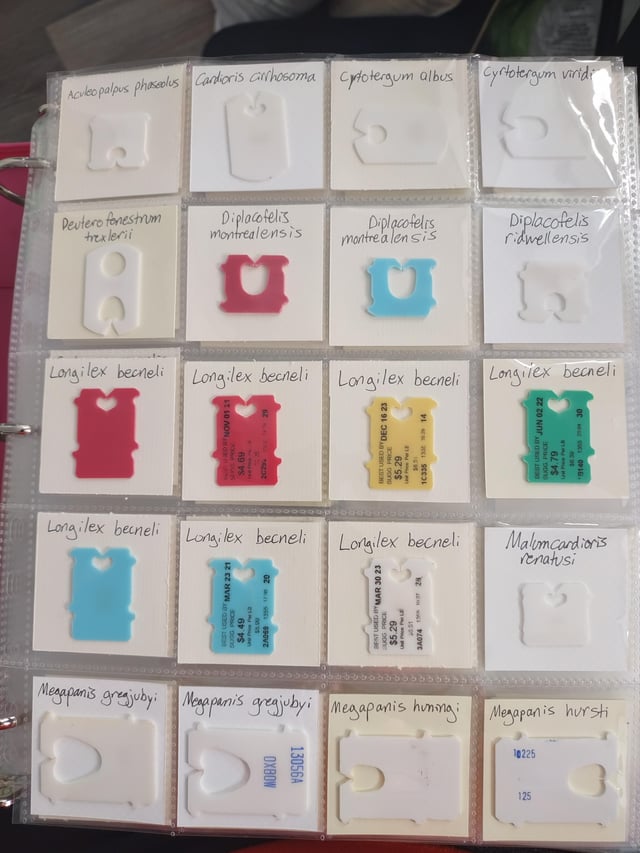 24 Unique Collections That Show That Anything Can Be A Collectible