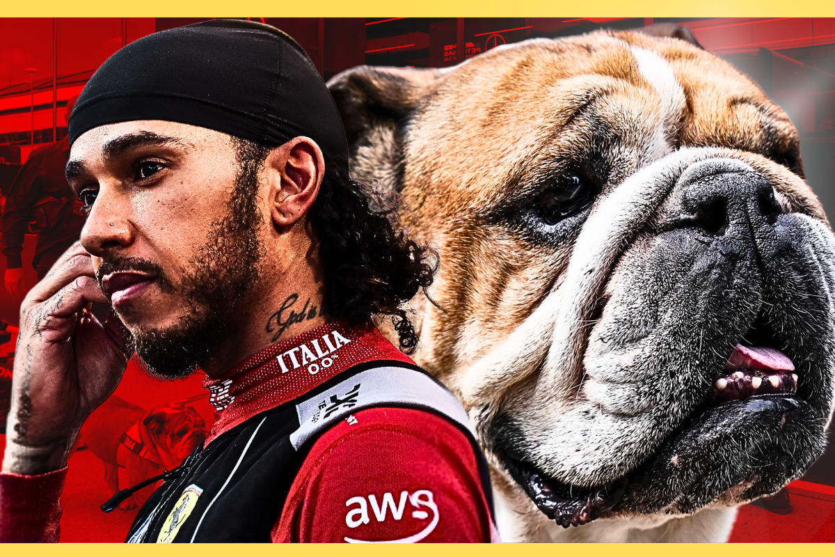 F1 legend Lewis Hamilton shares adorable Roscoe photo as pair celebrate ...