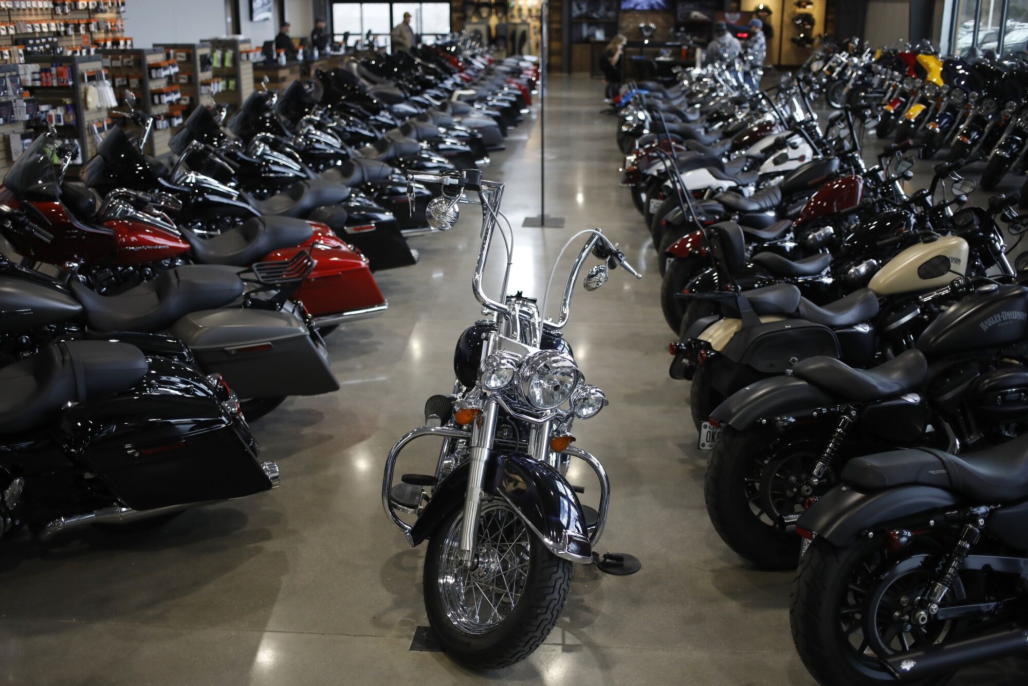 Harley-Davidson Investor Calls for CEO Ouster, Board Revamp
