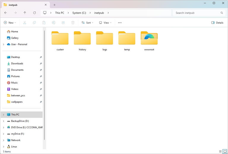 What's the mysterious Windows 11 'inetpub' folder? Microsoft says you shouldn't delete it.