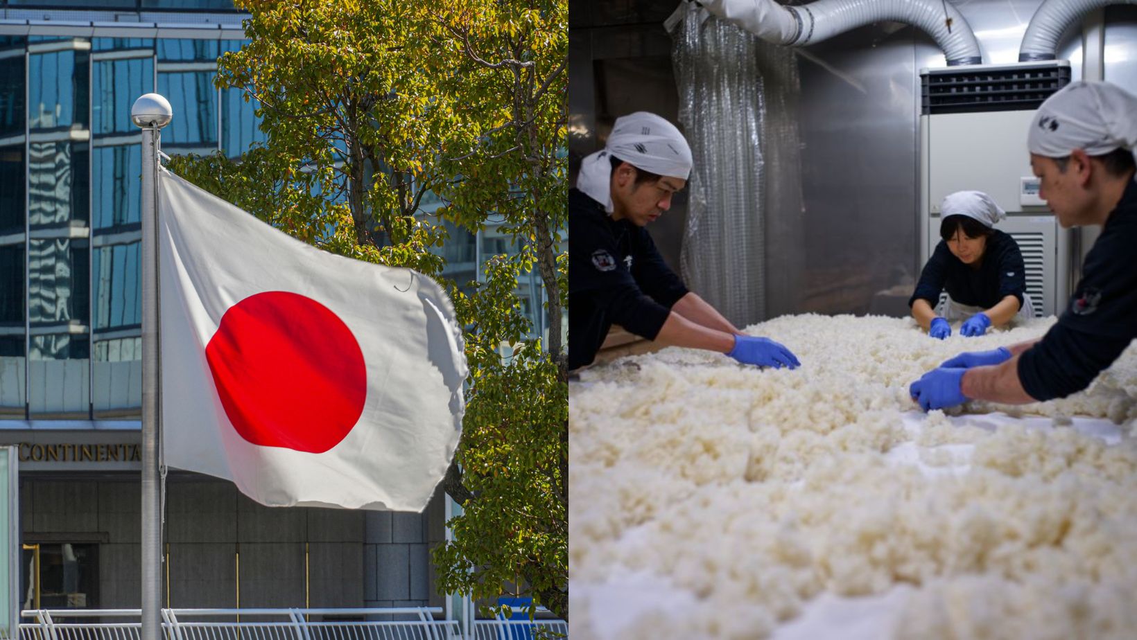 Pénurie de riz au Japon: l’État puise dans ses réserves stratégiques