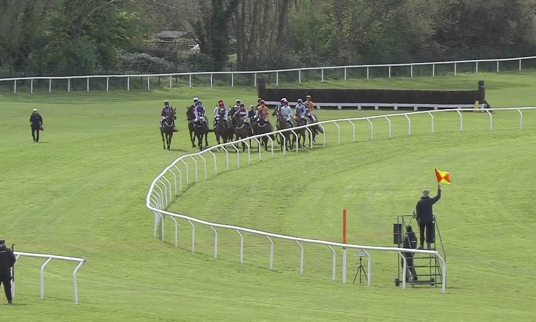 Horse dies at Cheltenham races after collapsing just yards after the ...
