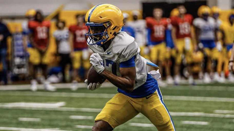 Second Pitt WR Enters Transfer Portal