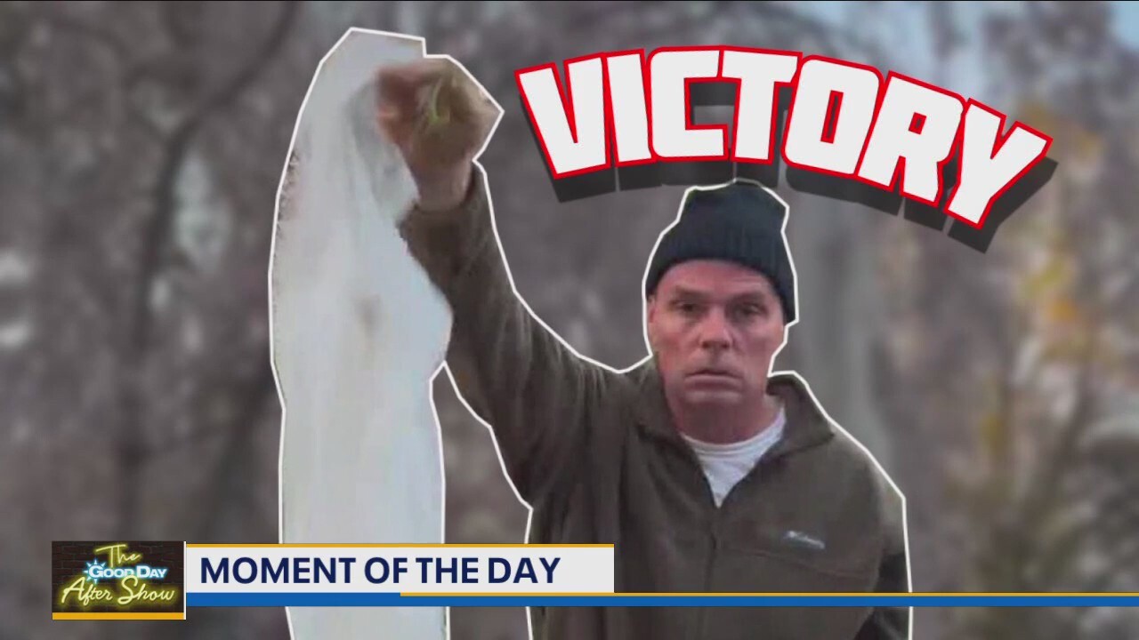 Moment of the Day: Hank to the Rescue