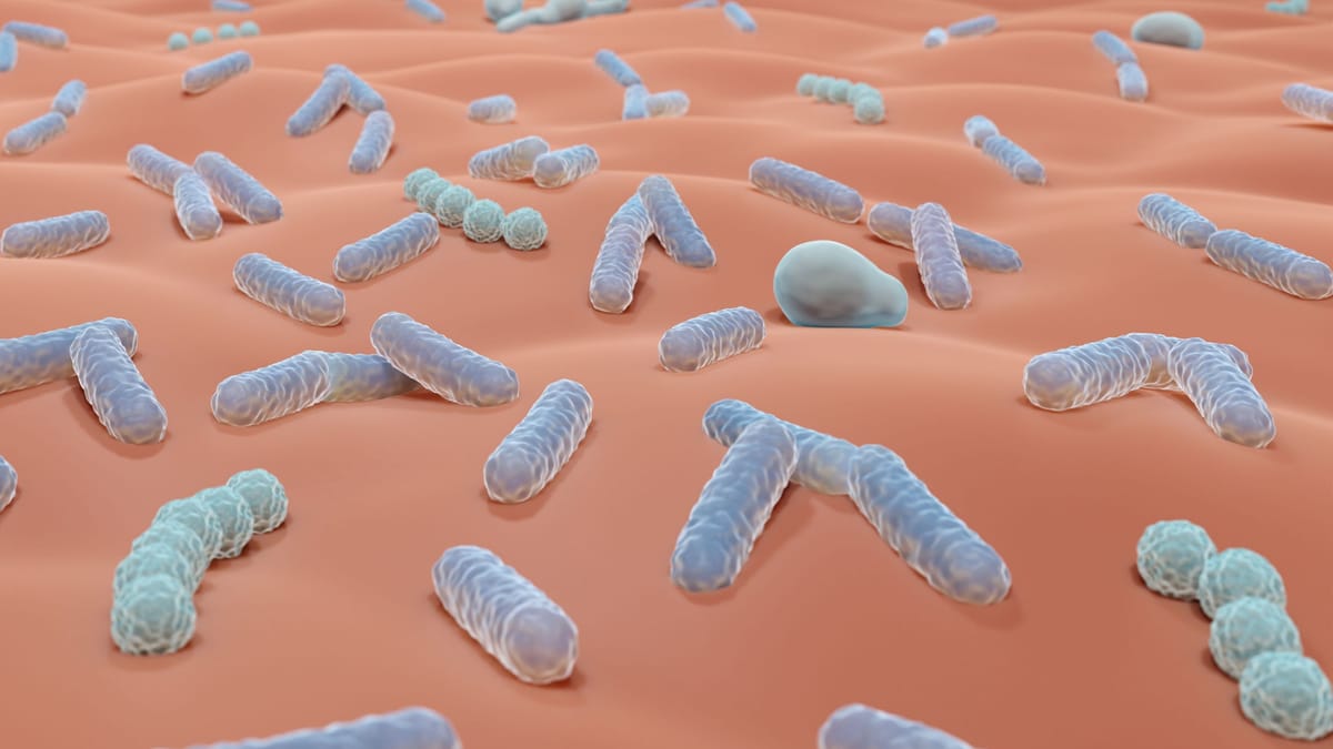 Erysipel: Ansteckend oder nicht? Das sollten Sie über Wundrose wissen