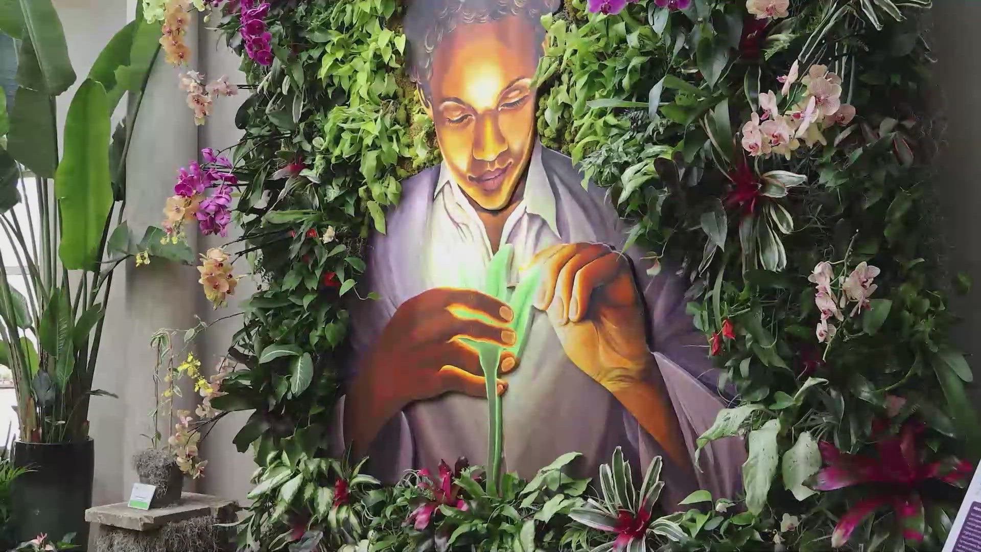 San Antonio Botanical Garden unveils vibrant mural exhibition
