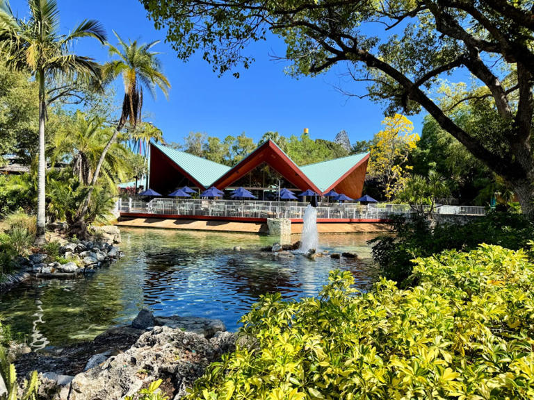 How to Visit Busch Gardens Tampa