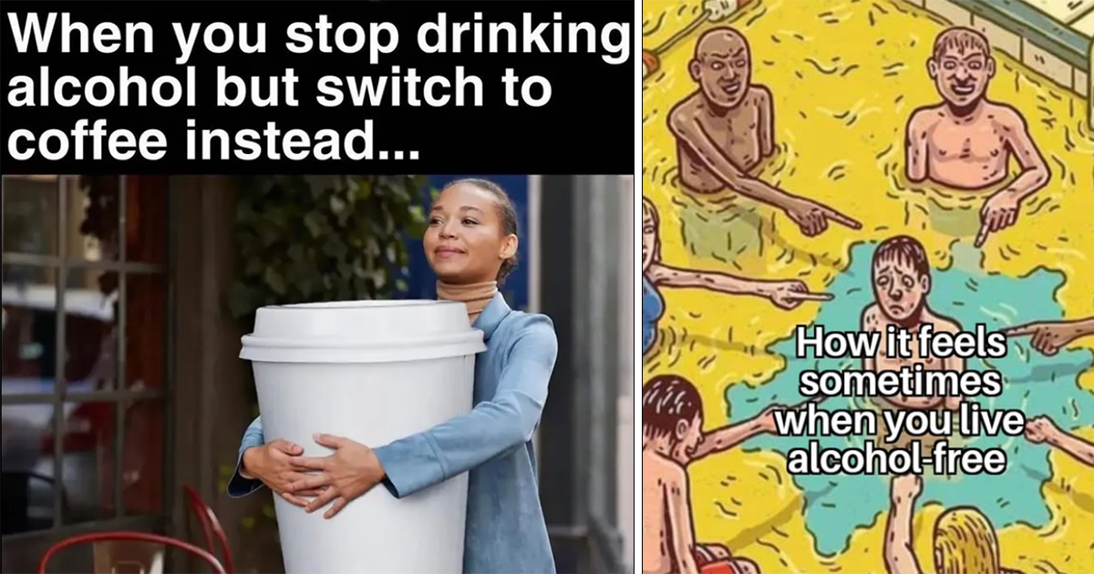 36 Funny Sobriety Memes You Can Enjoy One Day At A Time