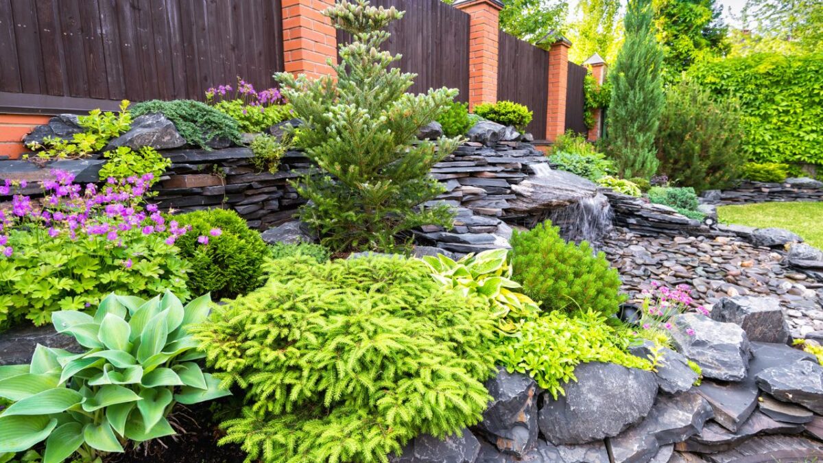 Sculpted by Nature, Styled by You: The Art of Rock Landscaping