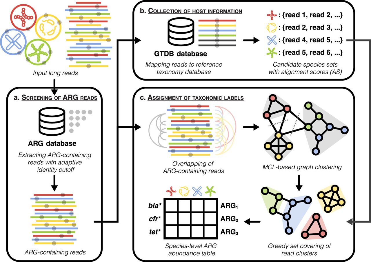 Innovative computational tool uses long-read sequencing to track antibiotic resistance genes