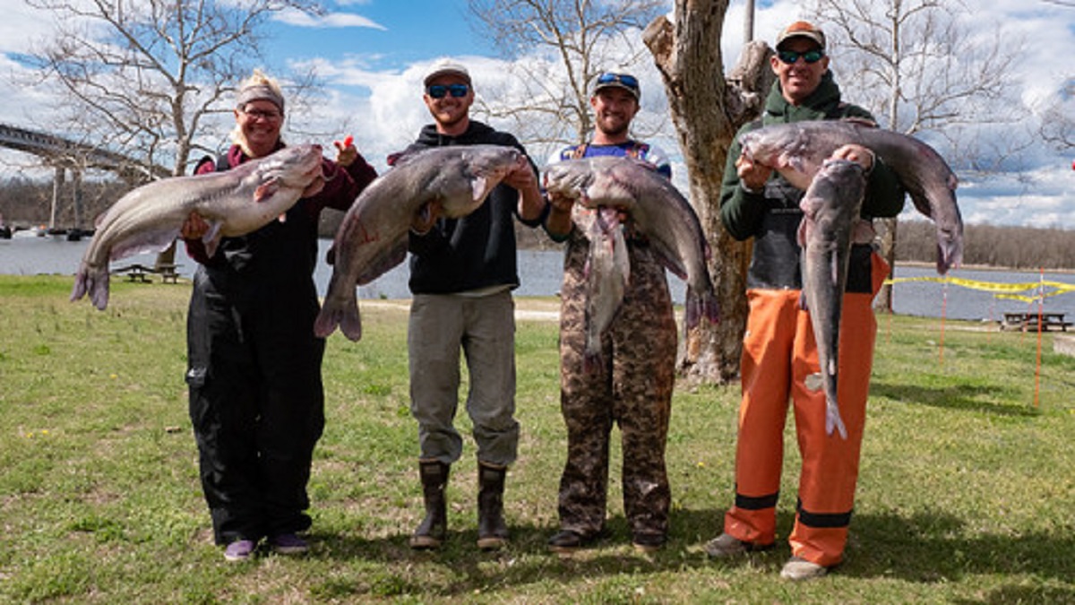 Maryland Anglers Tackle Blue Catfish in 2025 Tournaments