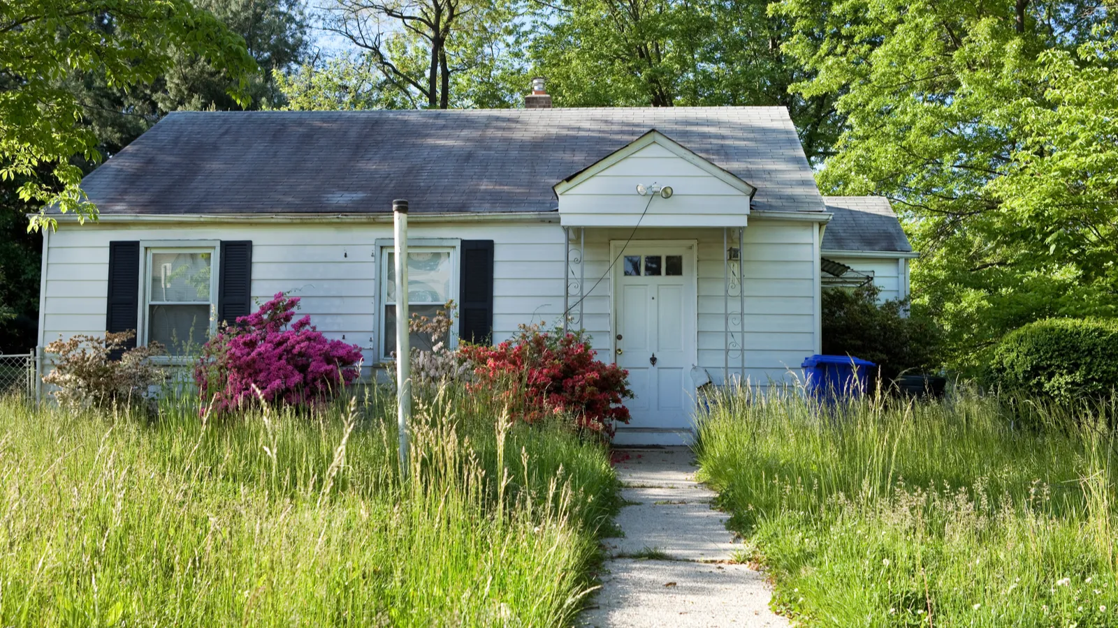 Curb Appeal Mistakes That Decrease Home Value