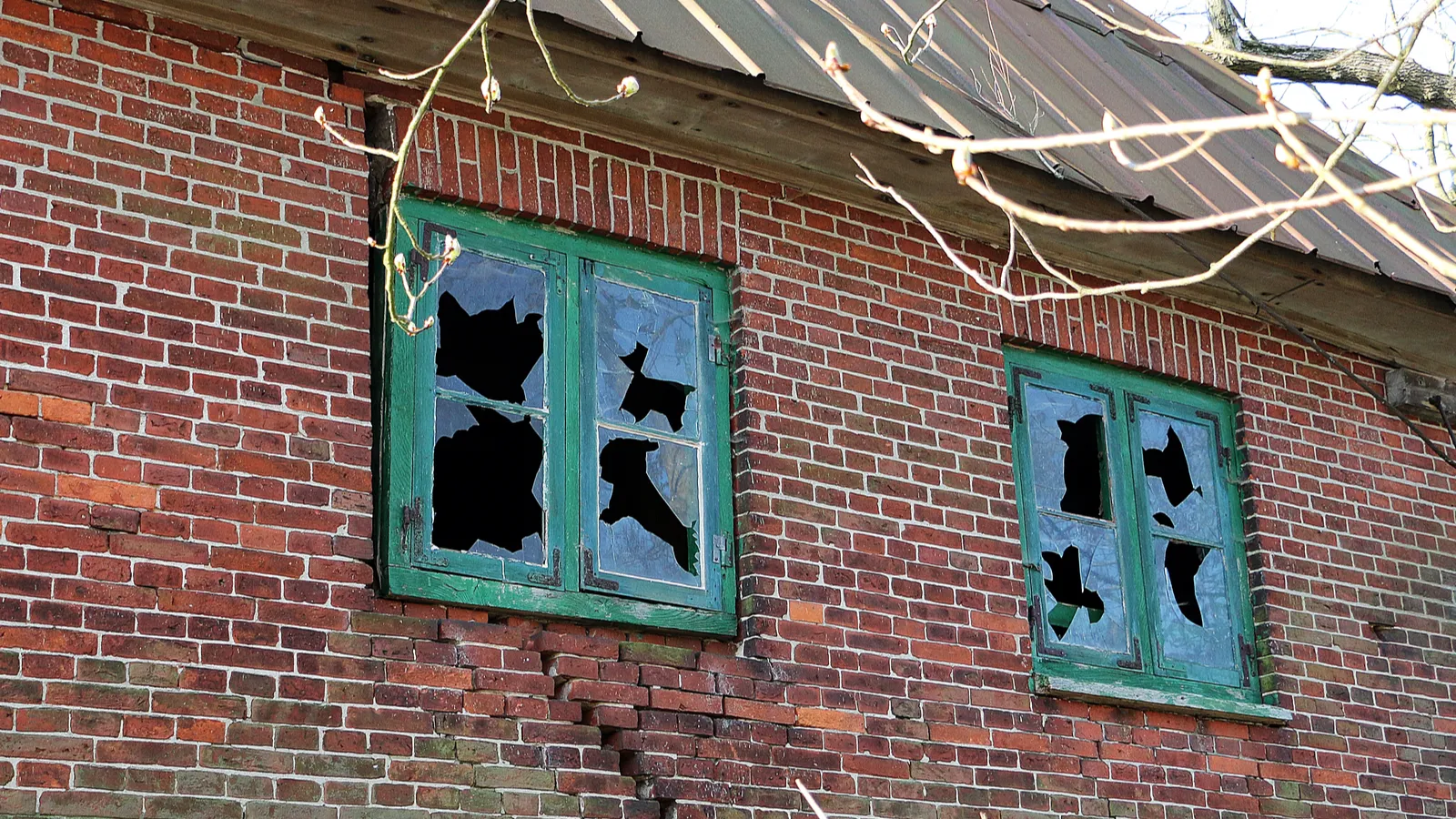 Curb Appeal Mistakes That Decrease Home Value