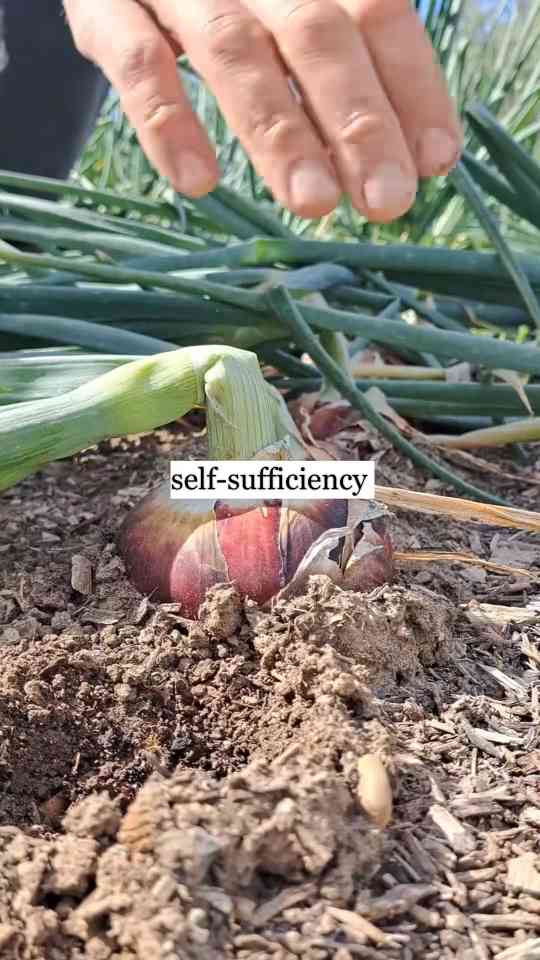 Got Questions? Here’s Your Answer