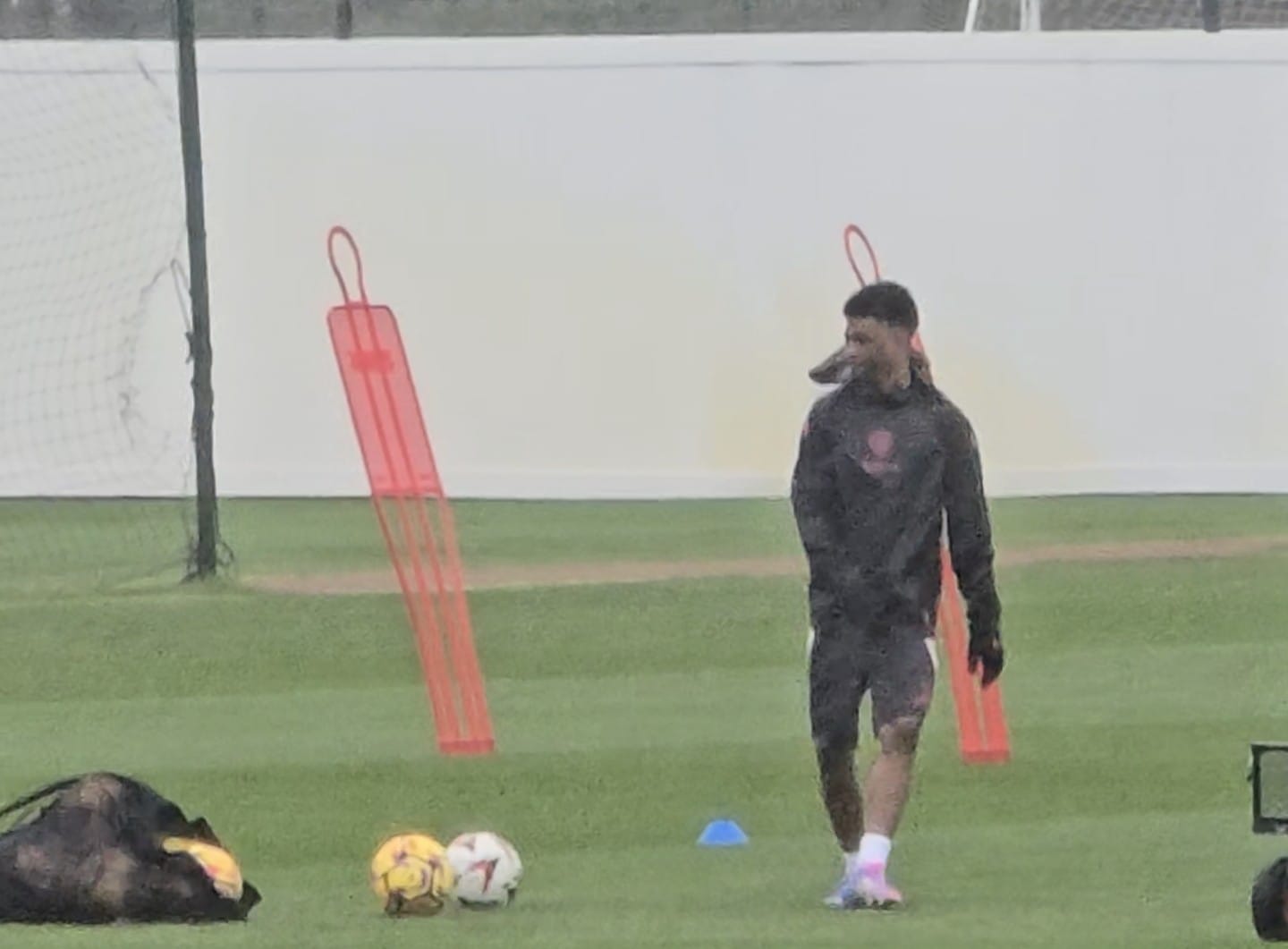 'I hope to have him' - Manchester United issue Amad Diallo injury ...