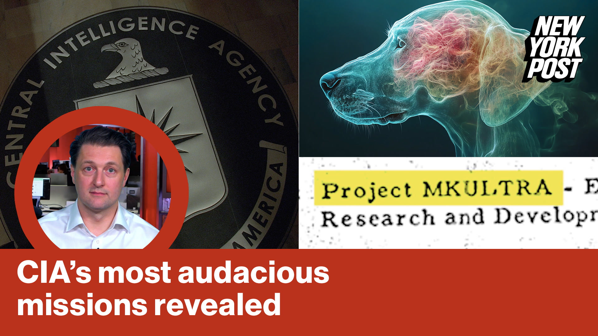 CIA's most audacious missions revealed | Reporter Replay