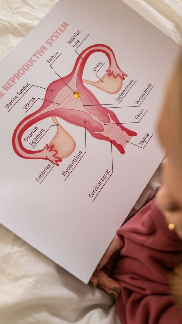 How To Clean Your Vagina And Vulva After Your Periods?