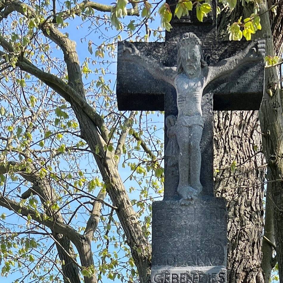 Die Wiederauferstehung des Schwarzen Herrgottes