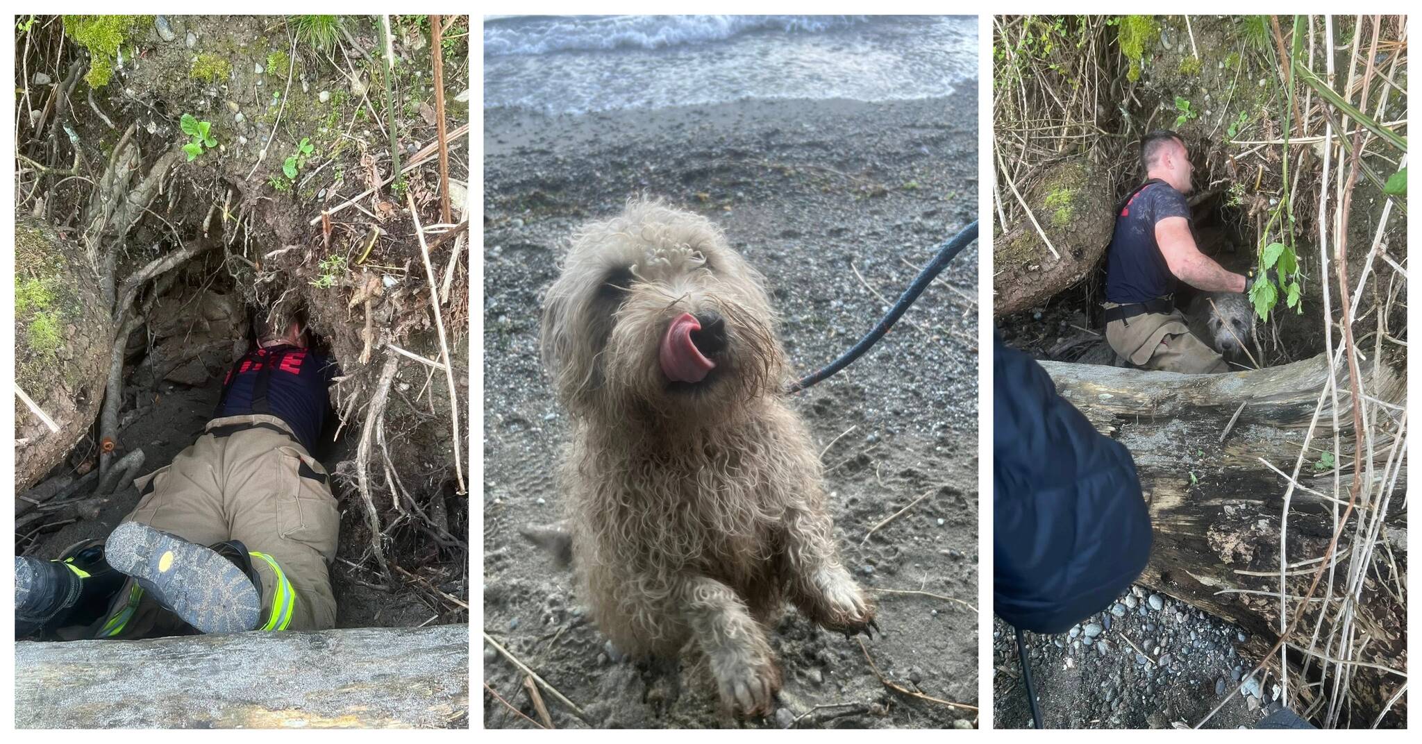 Dogged fire crews come to the rescue again at KVI Beach