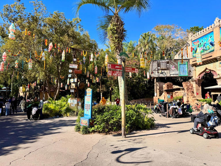 The Ultimate Guide To Disney's Animal Kingdom