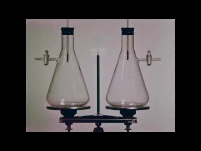 Science Experiment: Wind, Air Pressure & Ocean Winds