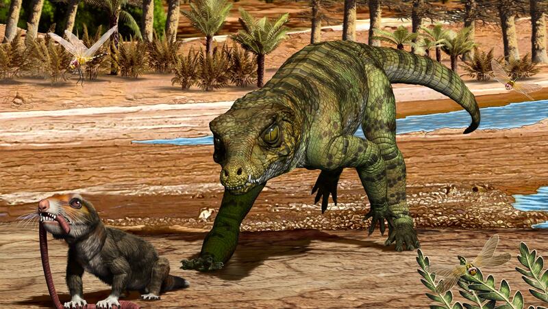 They’re not the prettiest, but they survived 2 extinction events